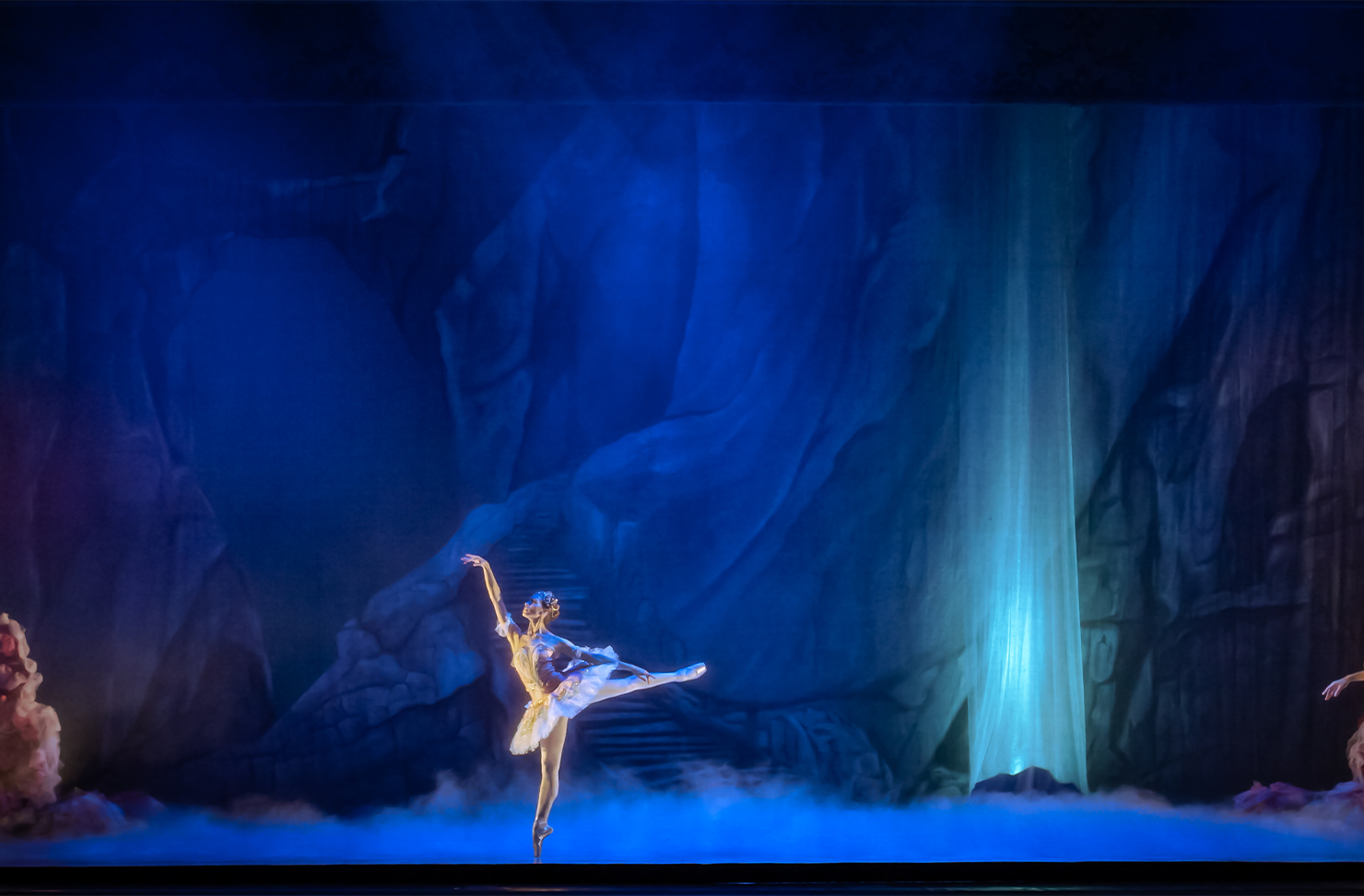 Round Up The Fam For WA Ballet's Breathtaking Reimagining Of The ...