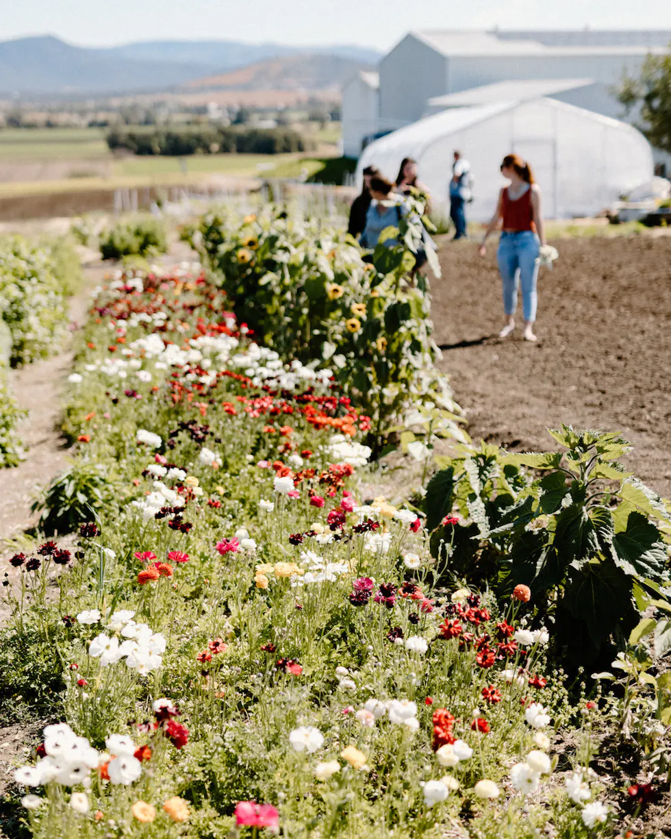 The Scenic Rim Farm Gate Trail Is Returning Twice In 2025 | URBAN LIST ...