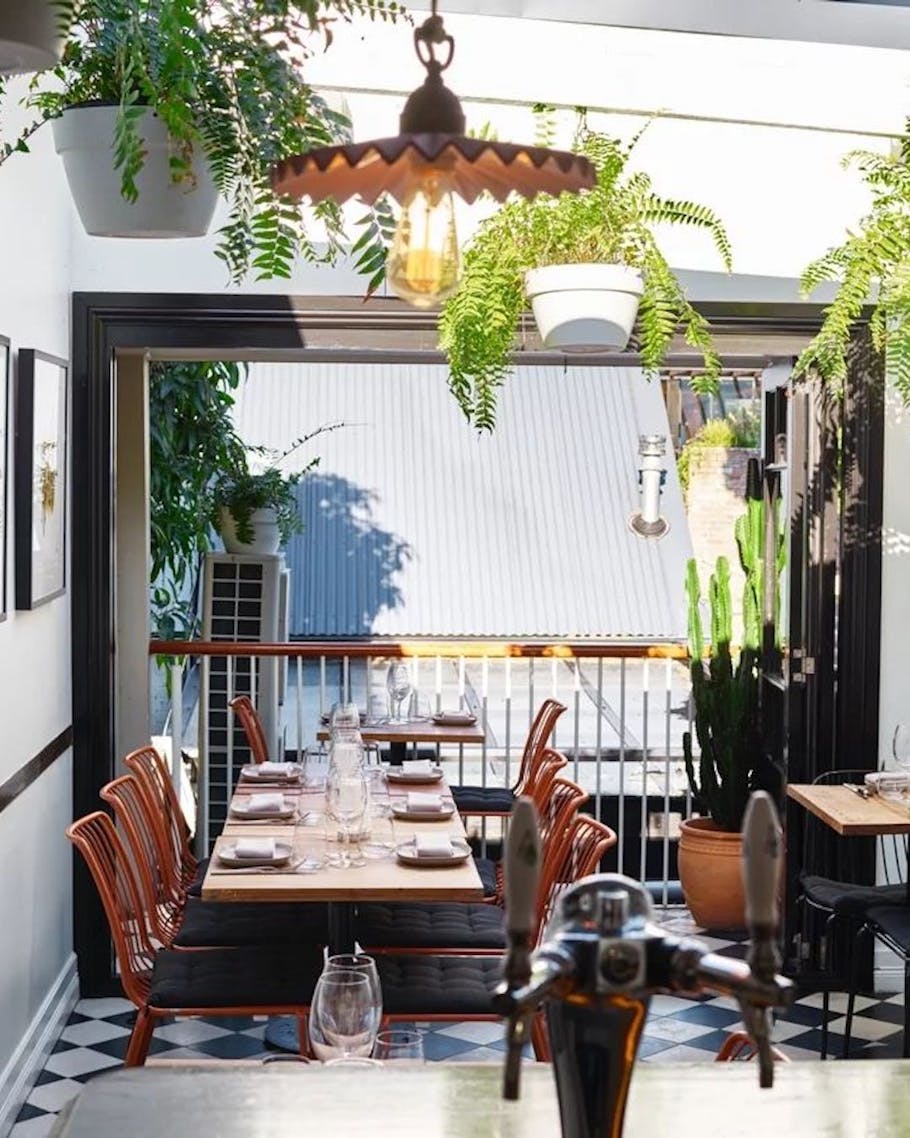 The Best Restaurants In Paddington, Sydney In 2023 | URBAN LIST SYDNEY