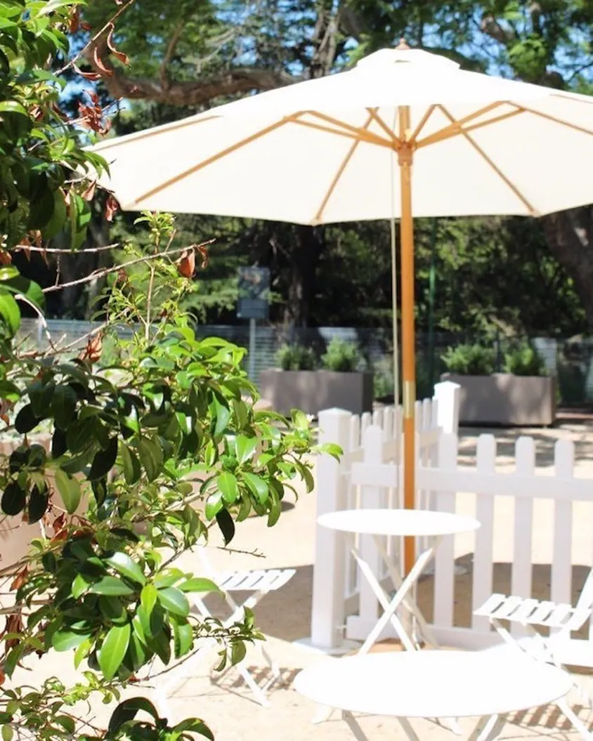 The Best Dog-Friendly Cafes In Sydney | URBAN LIST SYDNEY