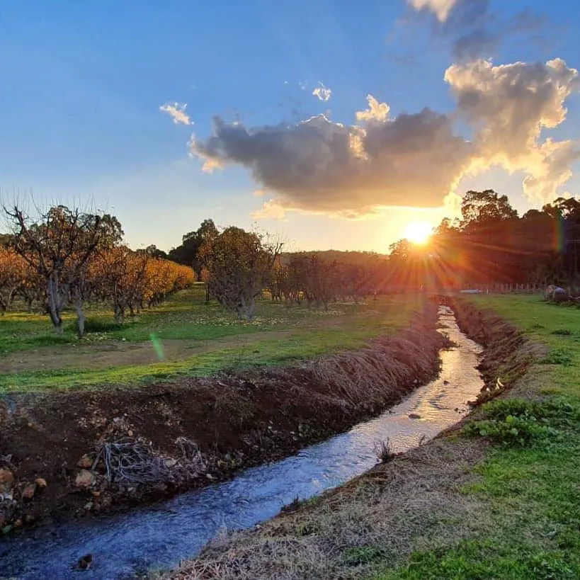 Where To Pick Your Own Fruit In Perth | URBAN LIST PERTH