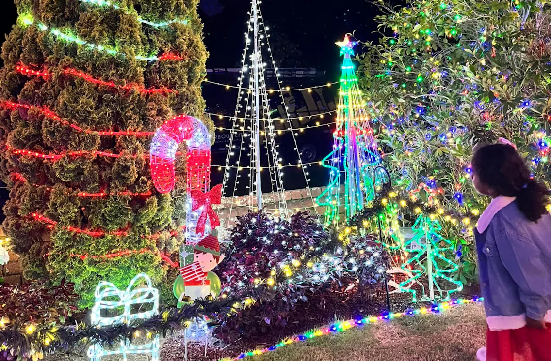 The Best Christmas Lights Displays In Wellington In 2025 | URBAN LIST ...