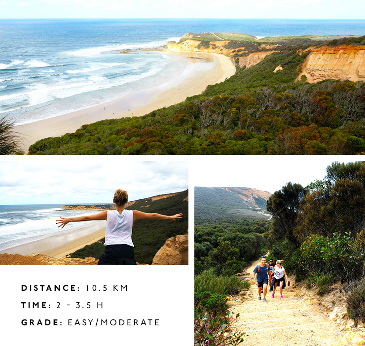 14 Amazing Walks Near Melbourne You Need To Take | Urban List Melbourne