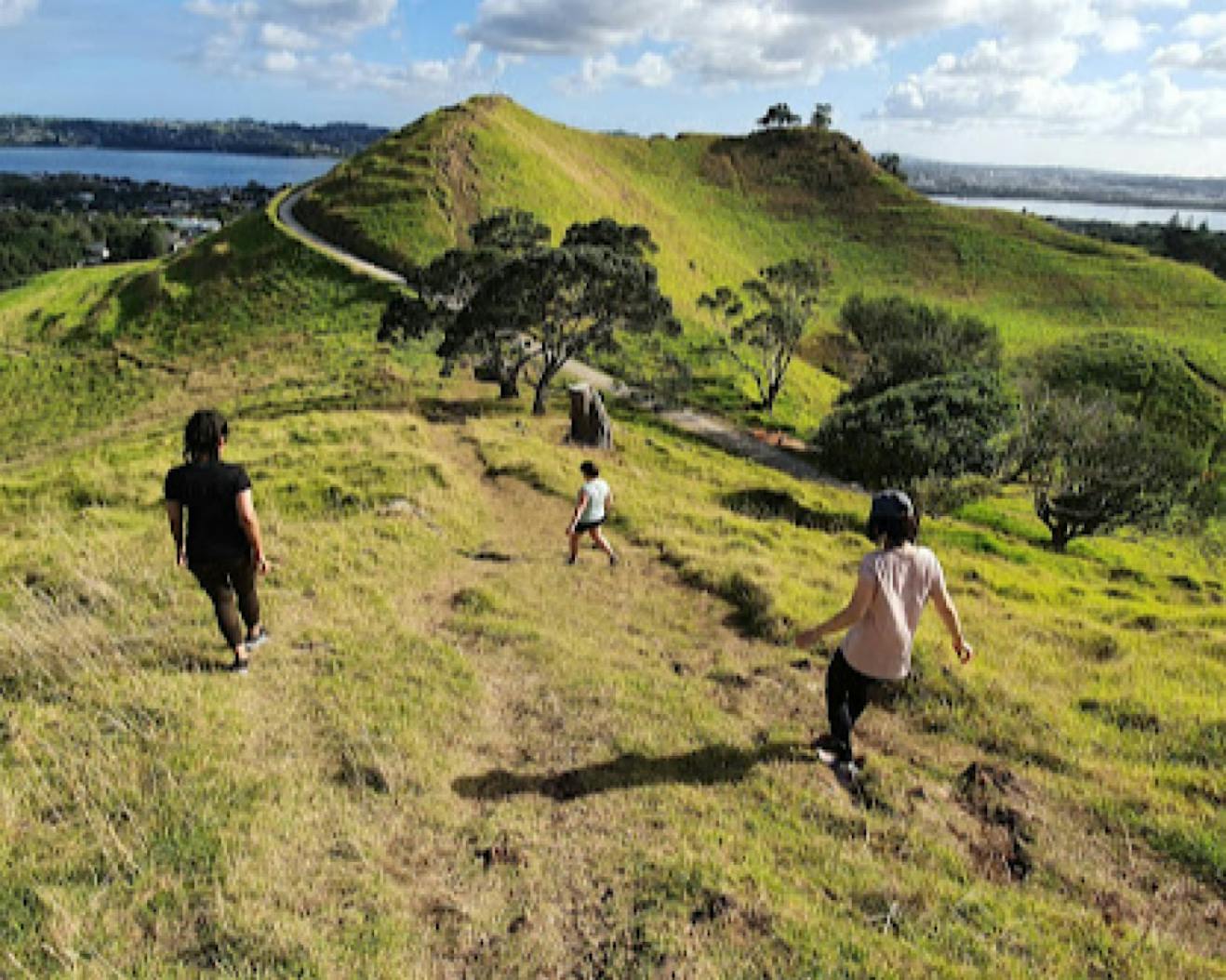 The Best Walks In Auckland | URBAN LIST NEW ZEALAND