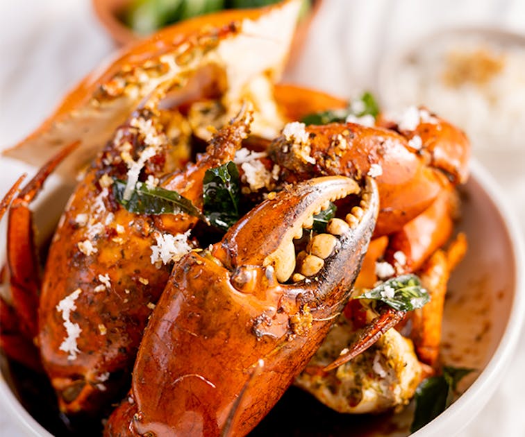 ALBA by Kuruvita | URBAN LIST SUNSHINE COAST