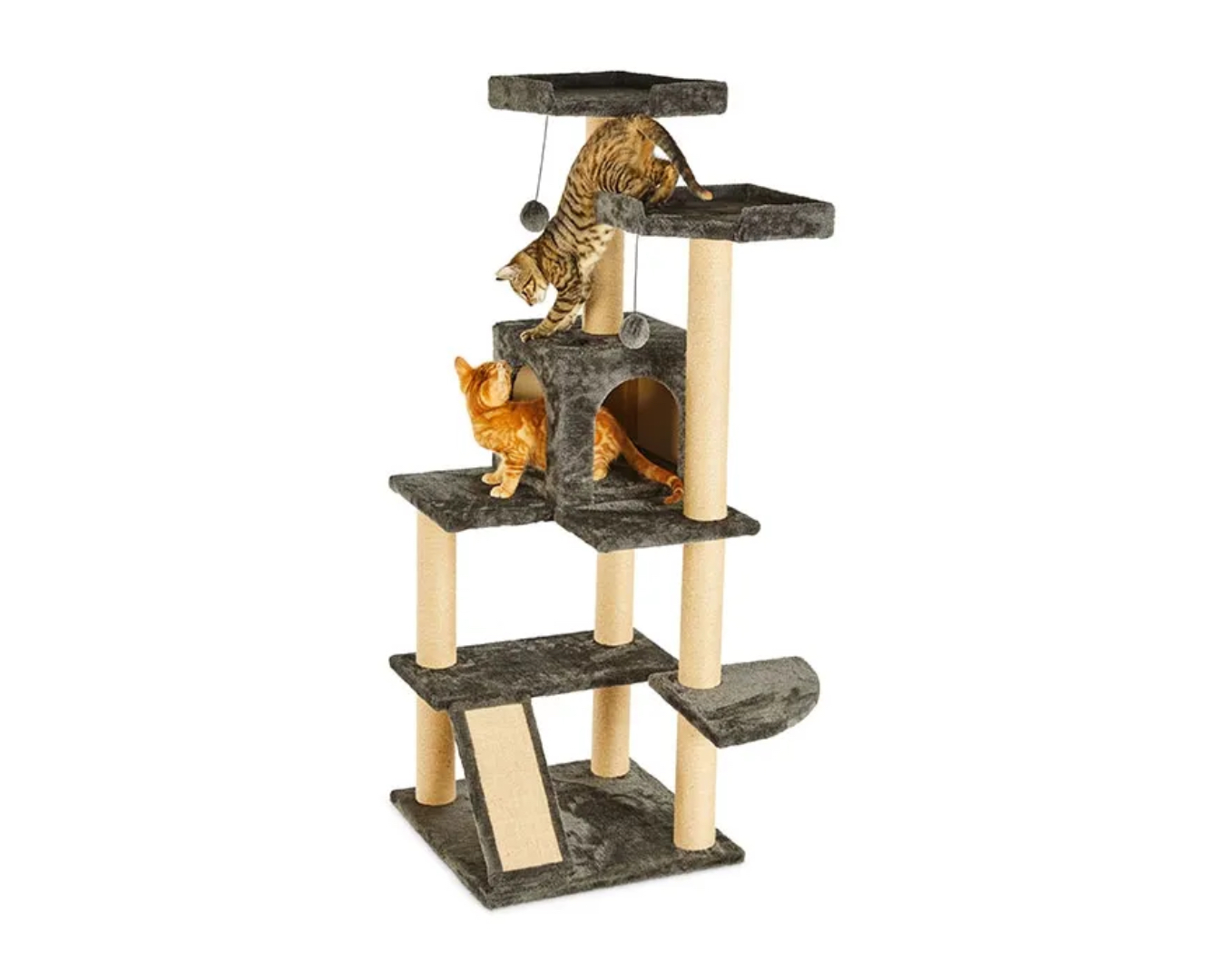The Best Cat Trees To Shop In Australia | URBAN LIST GLOBAL
