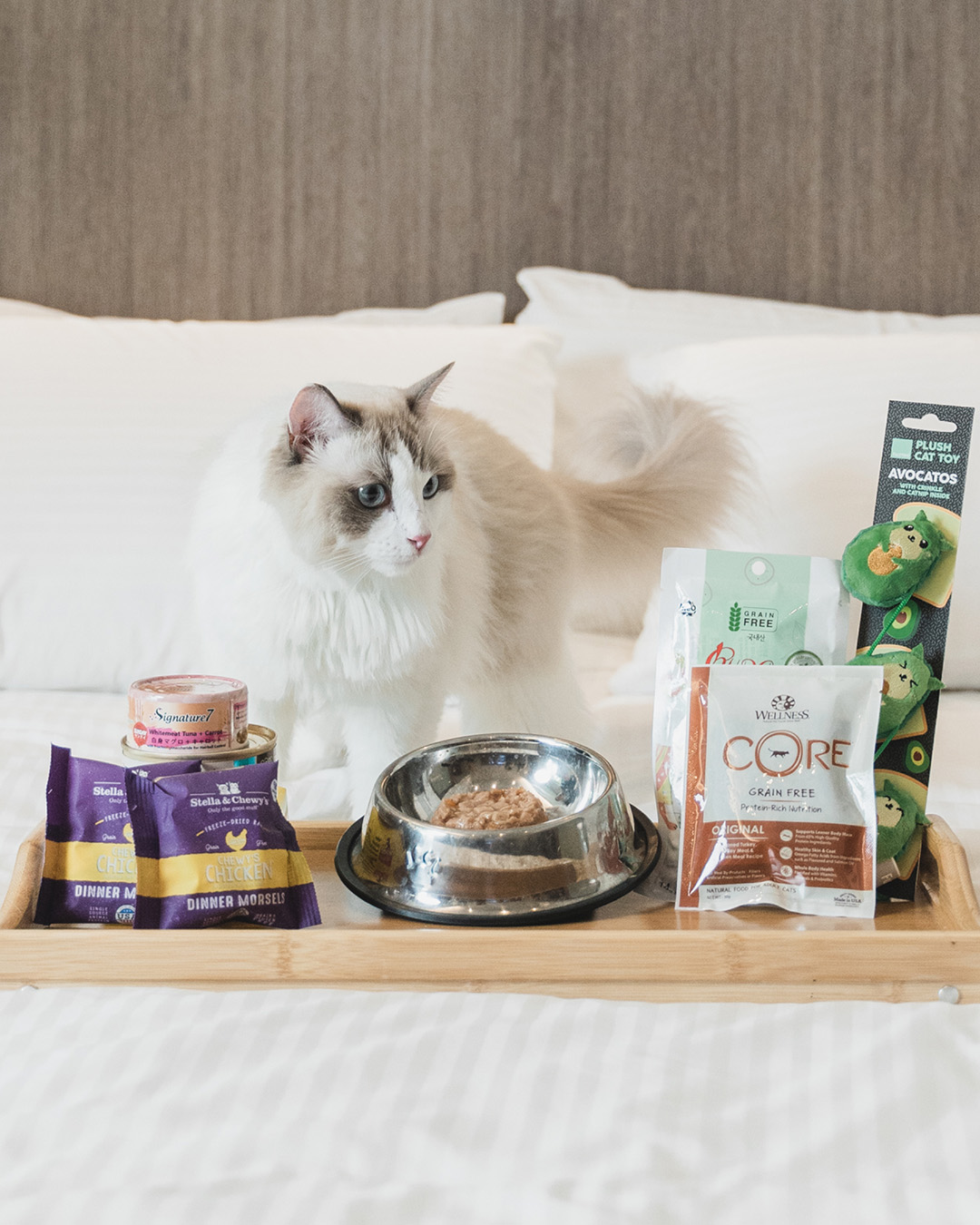 The Best Pet-Friendly Hotels In Singapore For You And Your Pooch ...