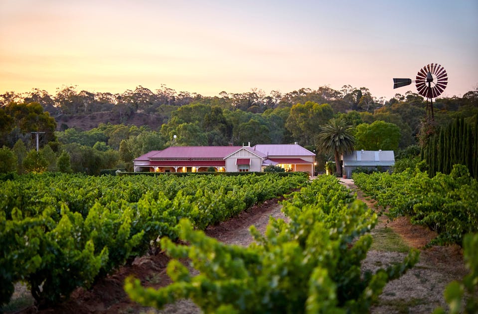 Your Ultimate Guide To The Barossa Valley With Andy Allen | URBAN LIST ...