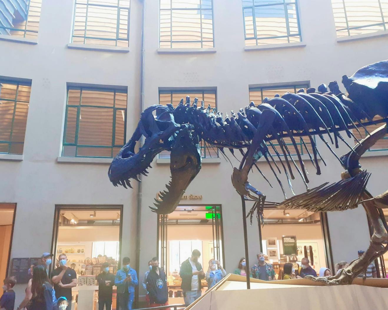 The Best Museums In Auckland | URBAN LIST NEW ZEALAND