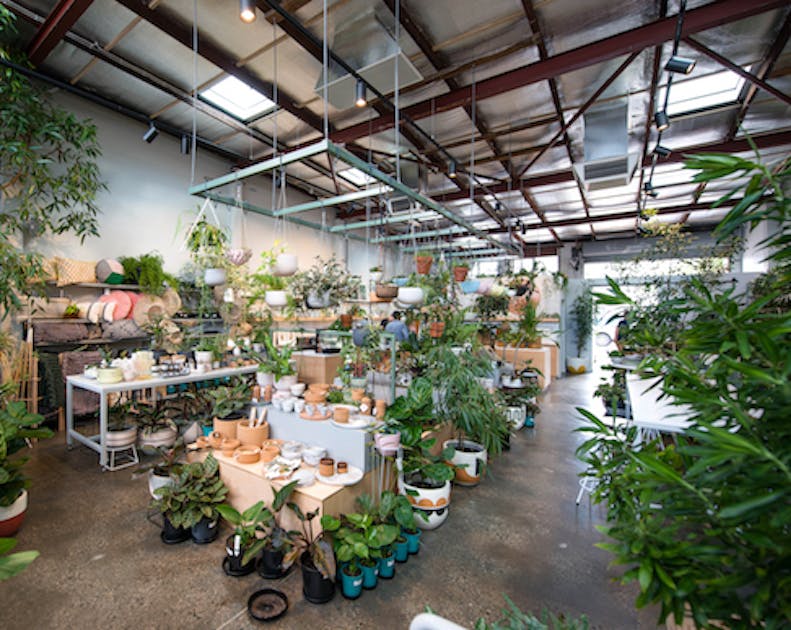 Bar Botanik, North Perth | URBAN LIST PERTH