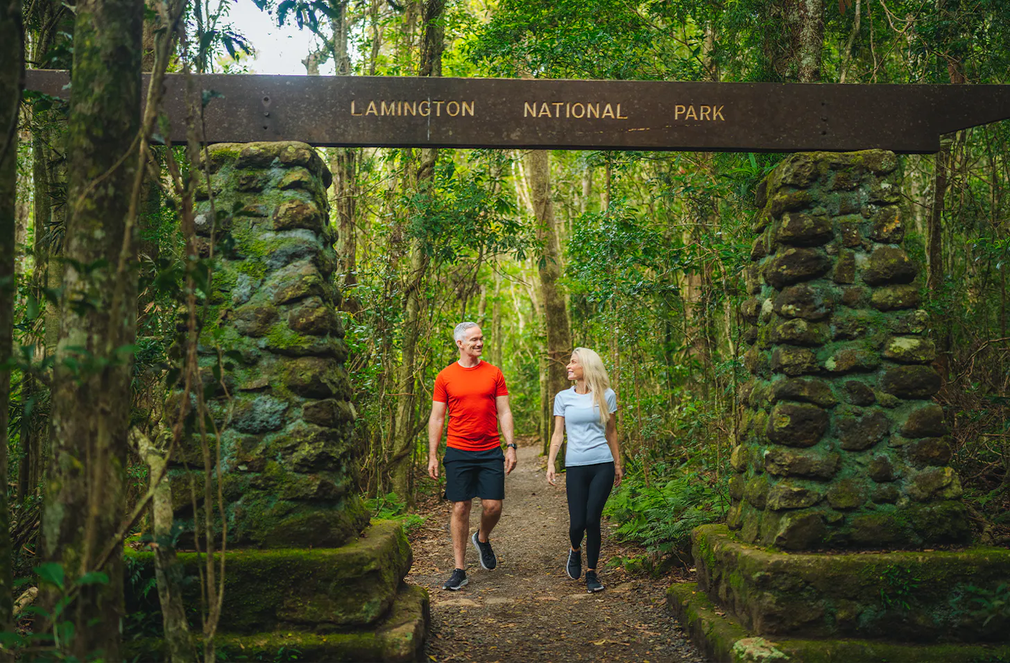 The Best Bush Walks On And Around The Gold Coast | URBAN LIST GOLD COAST