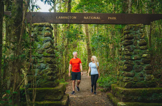 The Best Bush Walks On And Around The Gold Coast | URBAN LIST GOLD COAST