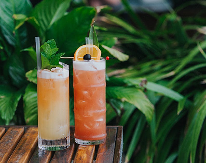 Pink Monkey Bar And Grill | Burleigh Heads | URBAN LIST GOLD COAST