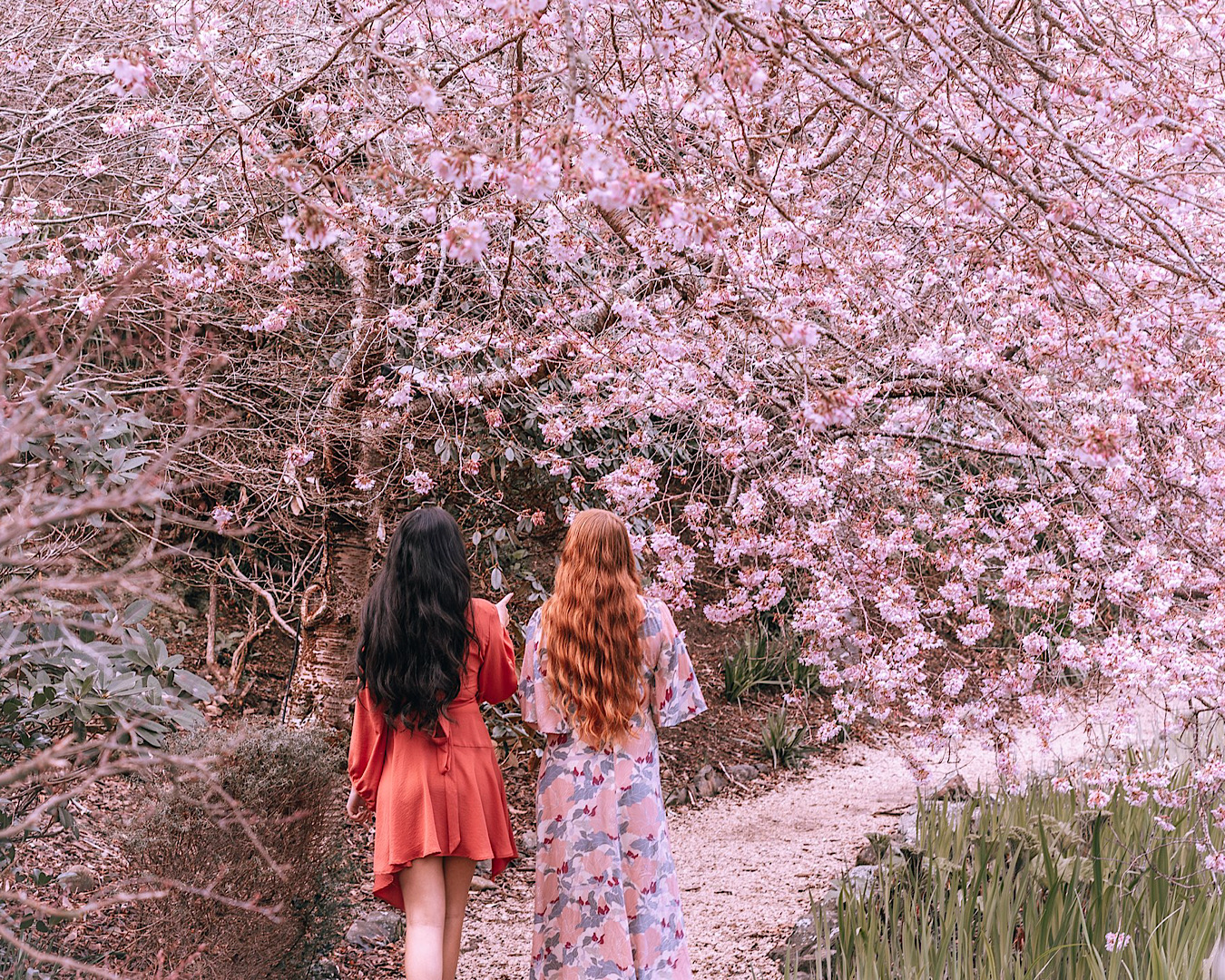 Fun Things To Do In Wellington With Kids This Month | URBAN LIST NEW ...