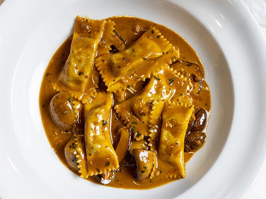 BOSSI | URBAN LIST AUCKLAND