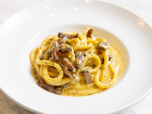 BOSSI | URBAN LIST AUCKLAND