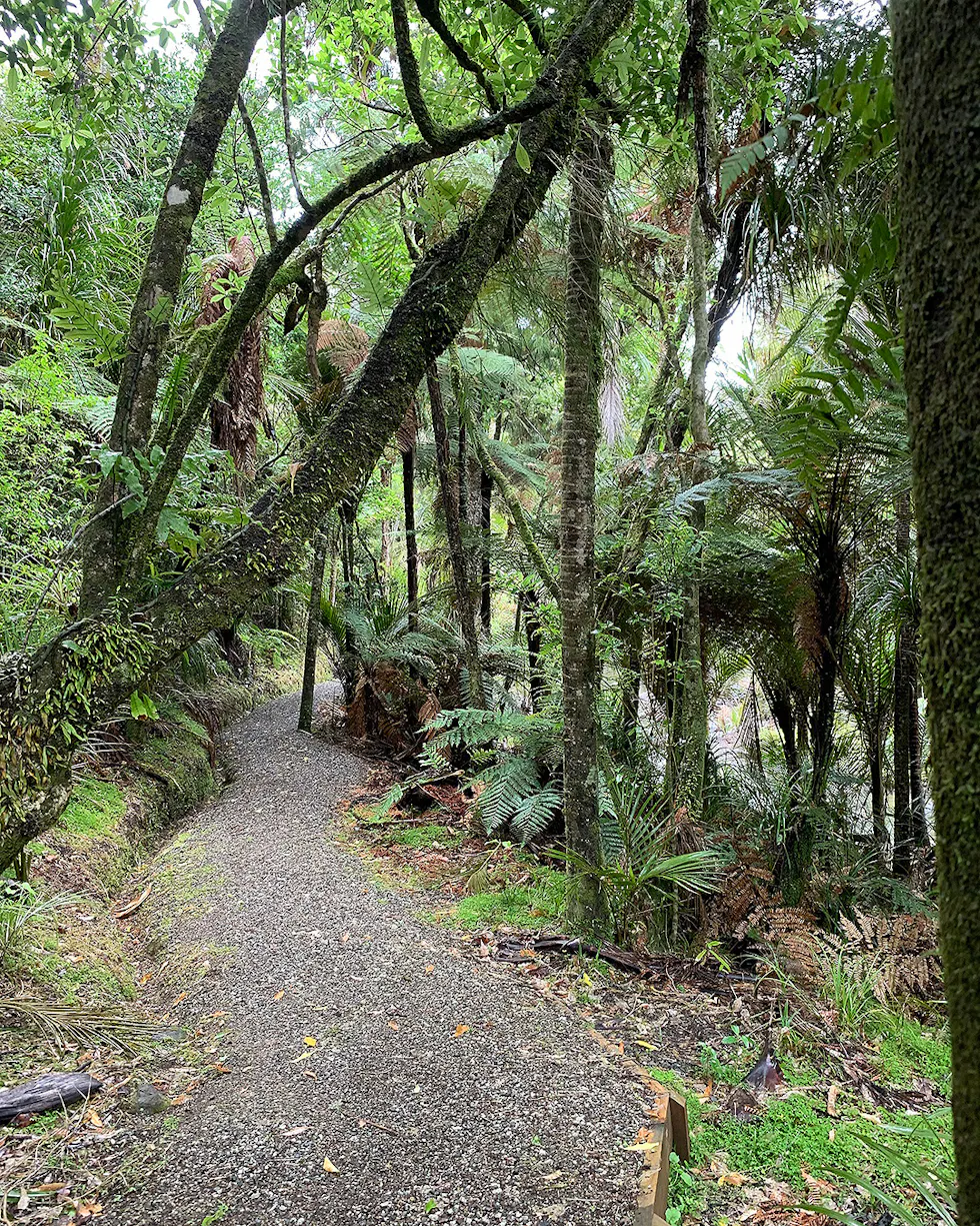 The Best Walks In Auckland | URBAN LIST AUCKLAND