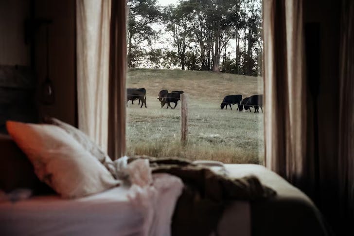 The Best Festivals Lighting Up The South West In 2025/2026 | URBAN LIST ...