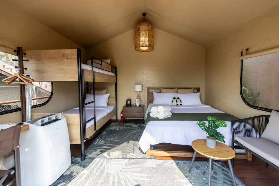 Inside Mandai’s New Colugo Camp | URBAN LIST SINGAPORE