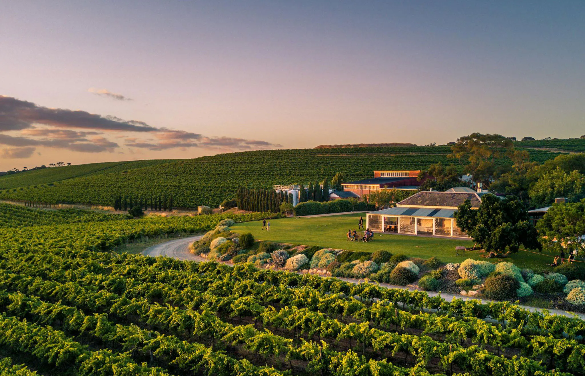 The Best Wineries In South Australia: Clare Valley, Barossa, Adelaide ...