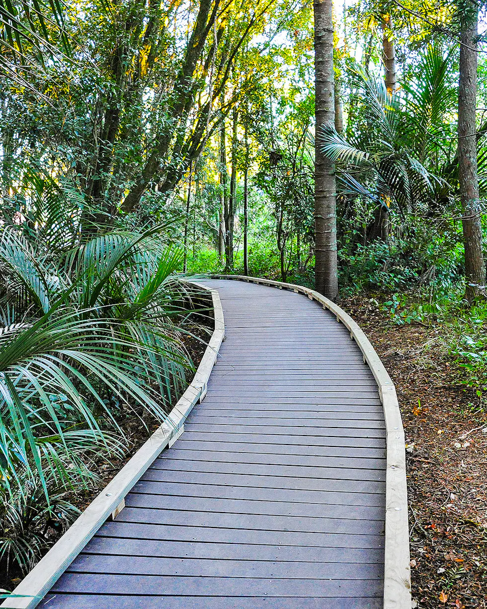 The Best Parks In Auckland | URBAN LIST AUCKLAND