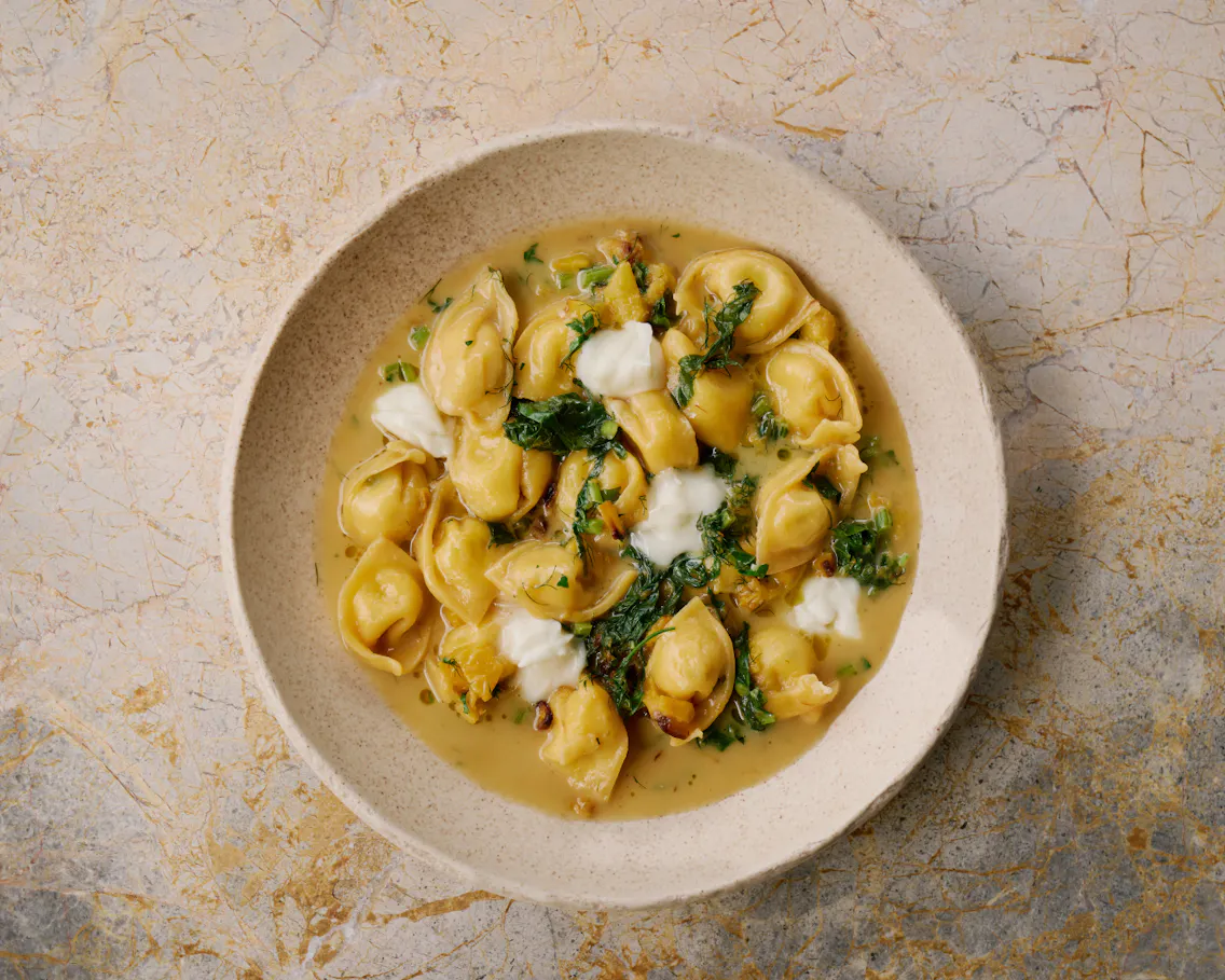 Say Hello To Daphne: The New Brunswick East Neighbourhood Local Taking ...