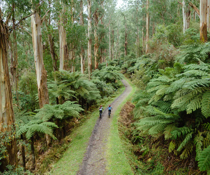 The Best Hikes In Victoria | 2023 | URBAN LIST MELBOURNE