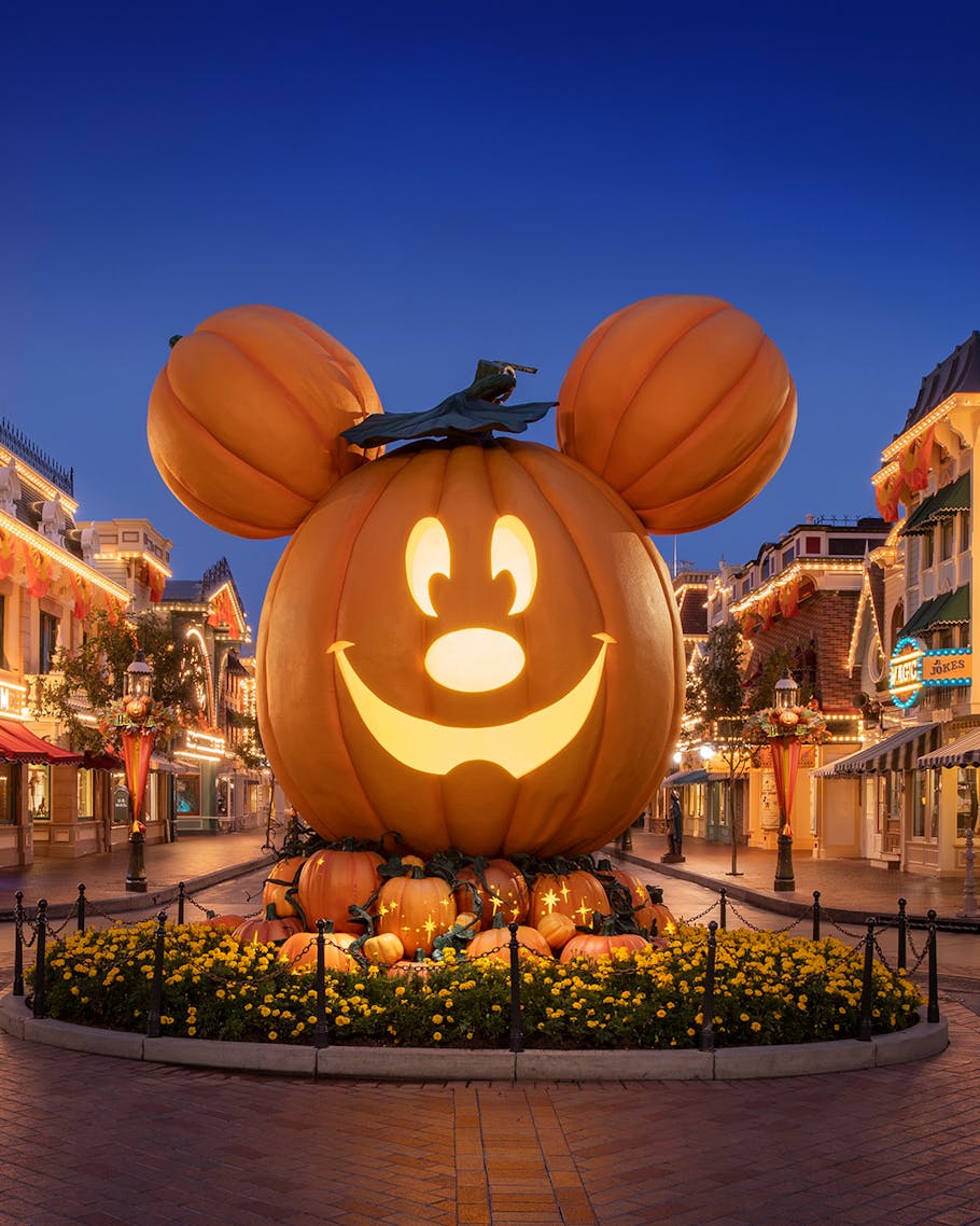 Why You Need To Add Disneyland Resort To Your 2022 Bucket List | URBAN ...