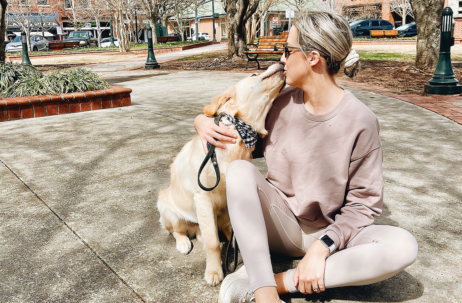 Where To Adopt A Dog In Auckland | URBAN LIST AUCKLAND