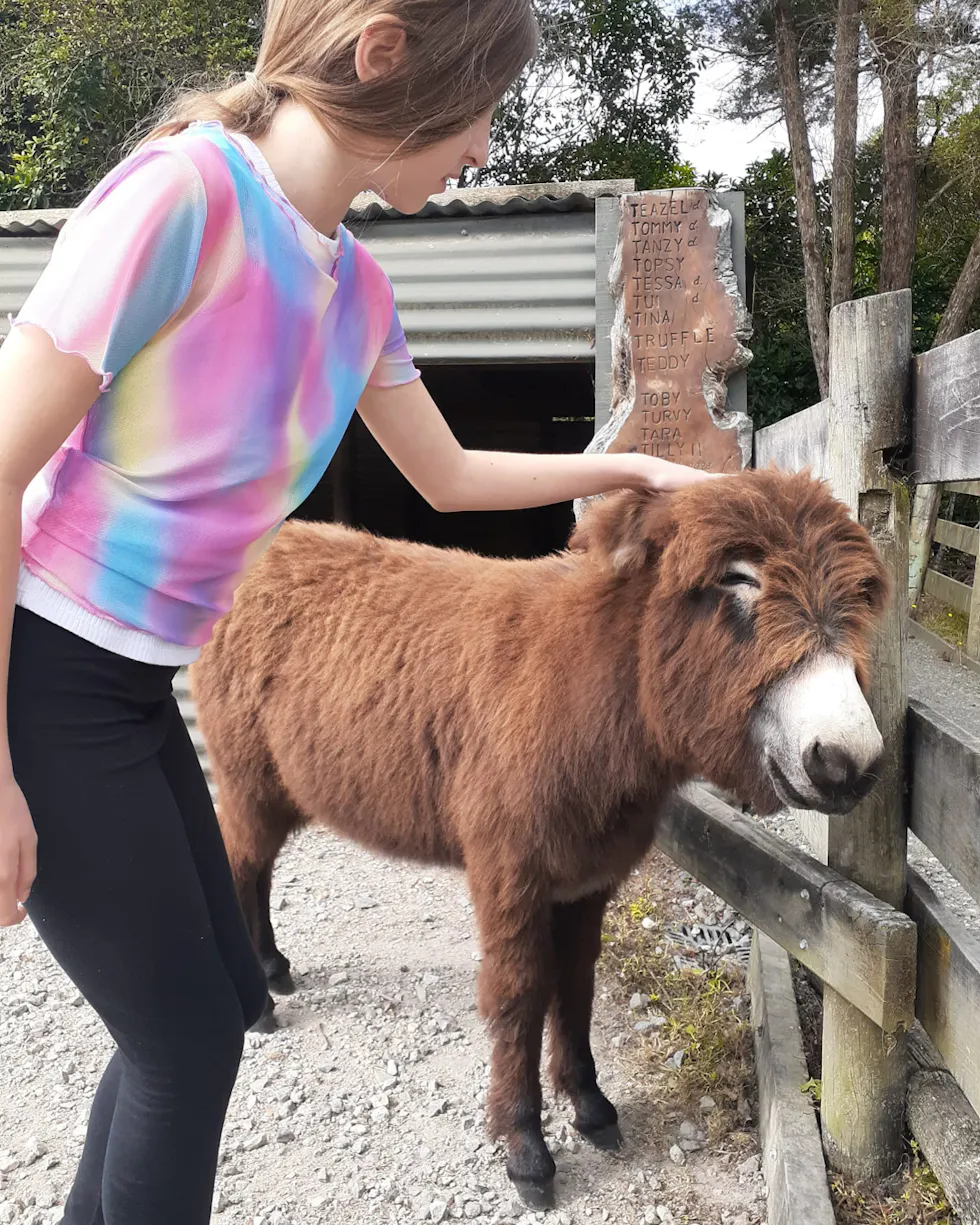 55 Of The Best Things To Do With Kids In Auckland | URBAN LIST AUCKLAND