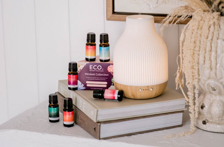 Elevate Your Mental Wellness Game With ECO Modern Essentials' Brand-New ...