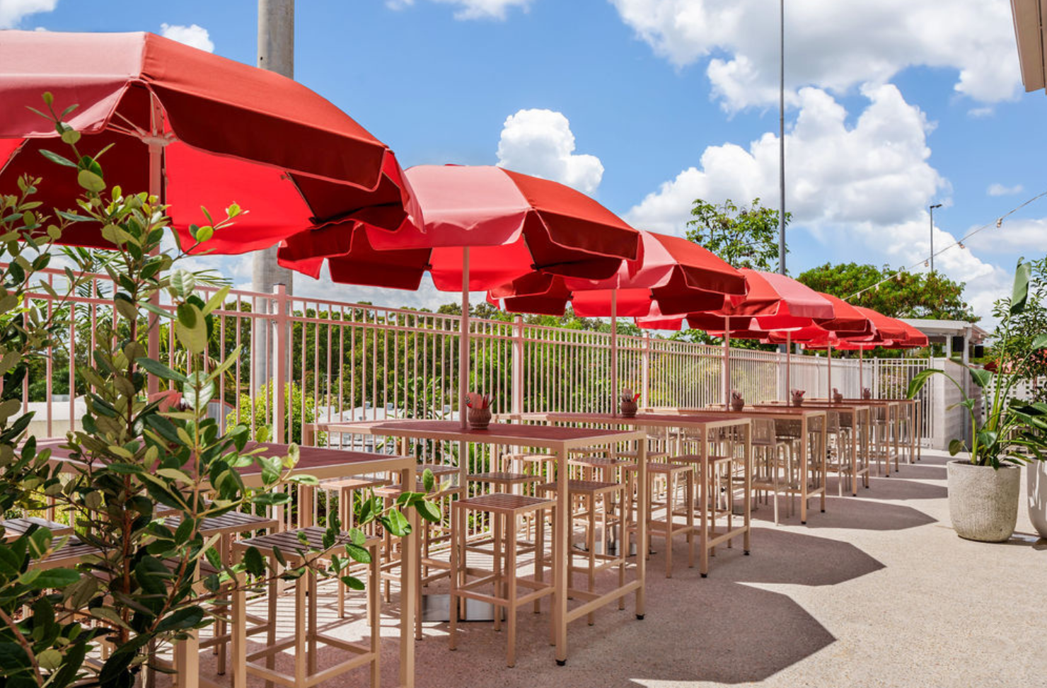 This Northside Pub Has Just Reopened With The Area's Biggest Beer ...