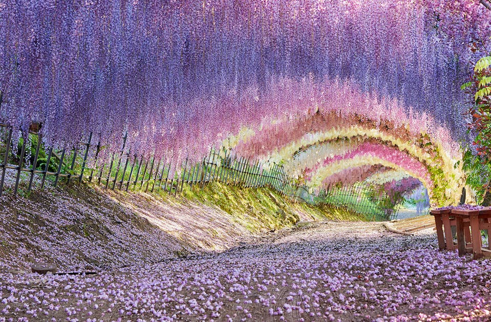 8 Reasons You Need To A Trip To Fukuoka | URBAN LIST MELBOURNE