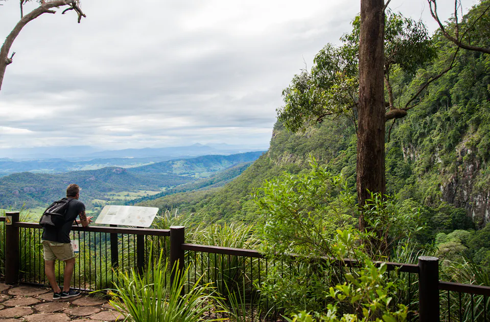 The Best Bush Walks On And Around The Gold Coast | URBAN LIST GOLD COAST