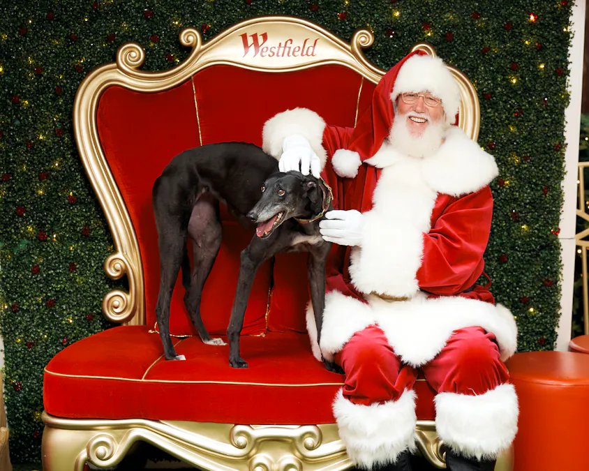 Where To Get Santa Photos On The Gold Coast In 2025 | URBAN LIST GOLD COAST