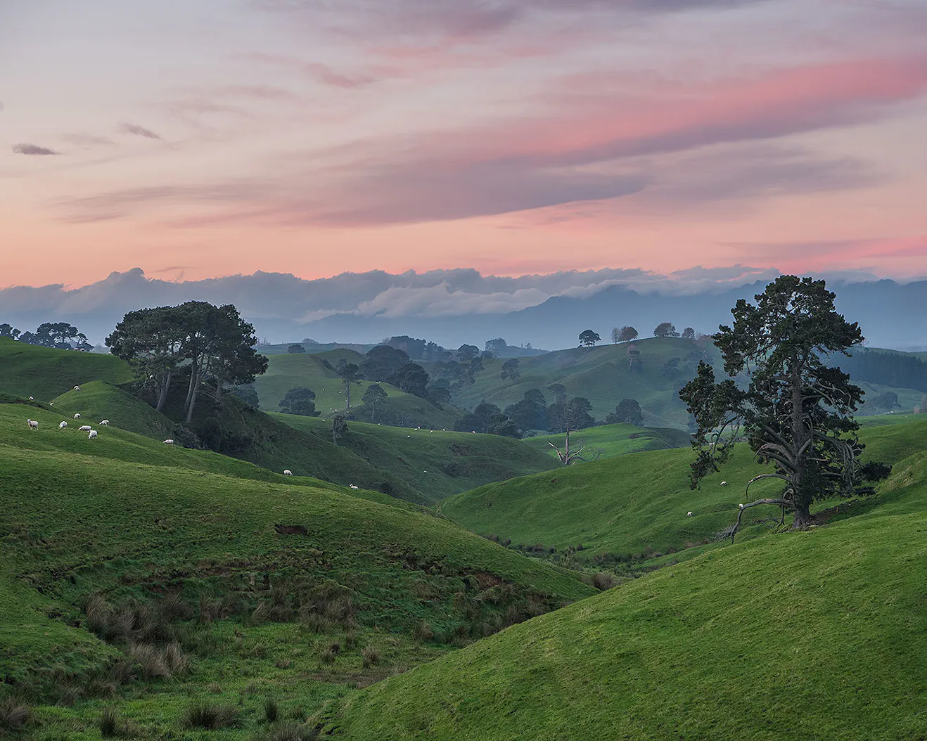 The Best Things To Do In Hamilton | URBAN LIST NEW ZEALAND