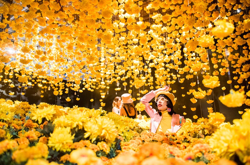 HAPPY PLACE, LA’s Immersive Exhibition Opens In Auckland Today | URBAN ...