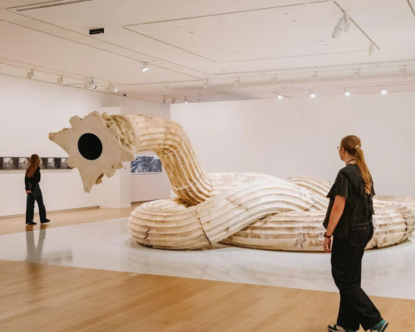 What's On Auckland | Best Auckland Events (Updated February 2026 ...