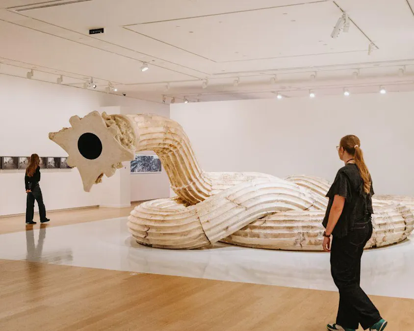 What's On Auckland | Best Auckland Events (Updated February 2026 ...