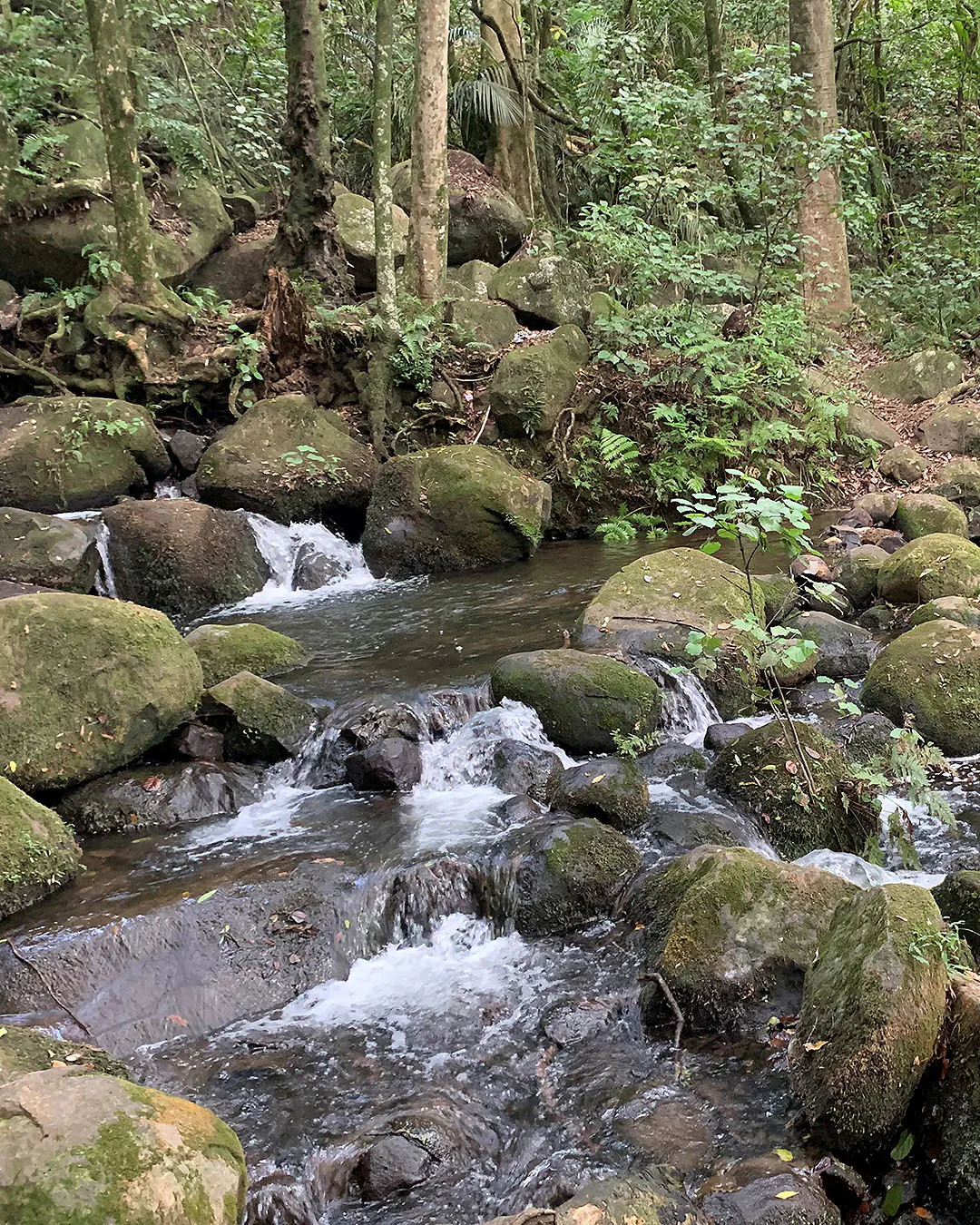 The Best Parks In Auckland | URBAN LIST AUCKLAND