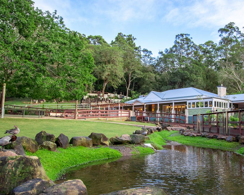 The Homestead | Coming Soon | URBAN LIST GOLD COAST