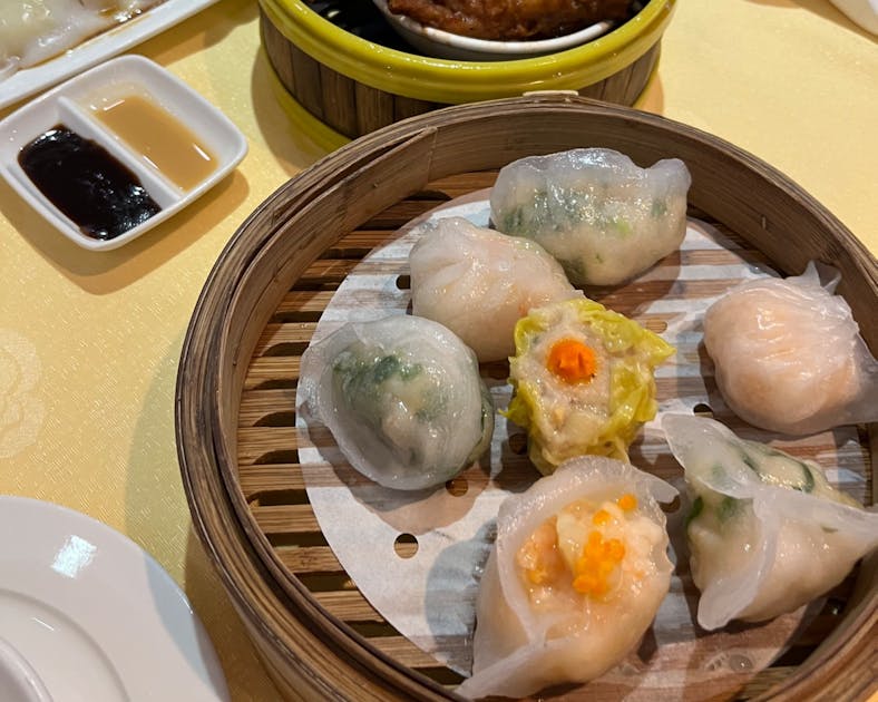 Where To Find Auckland's Best Dumplings In 2026 | URBAN LIST AUCKLAND