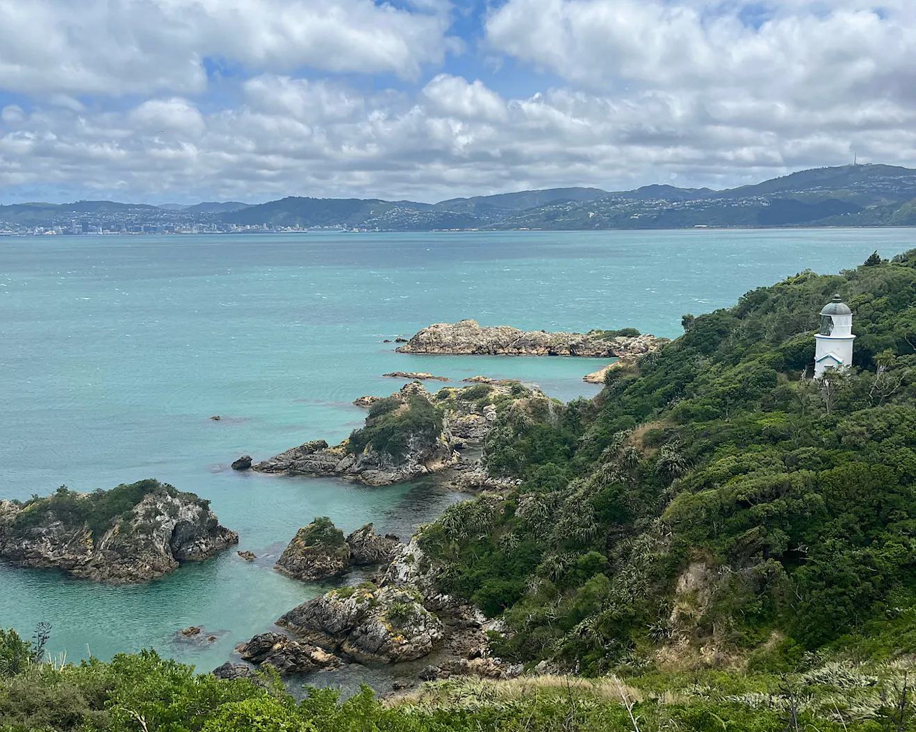 The Best Walks And Hikes In Wellington In 2026 | URBAN LIST NEW ZEALAND