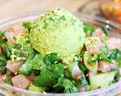 Ika Bowl, CBD | URBAN LIST AUCKLAND