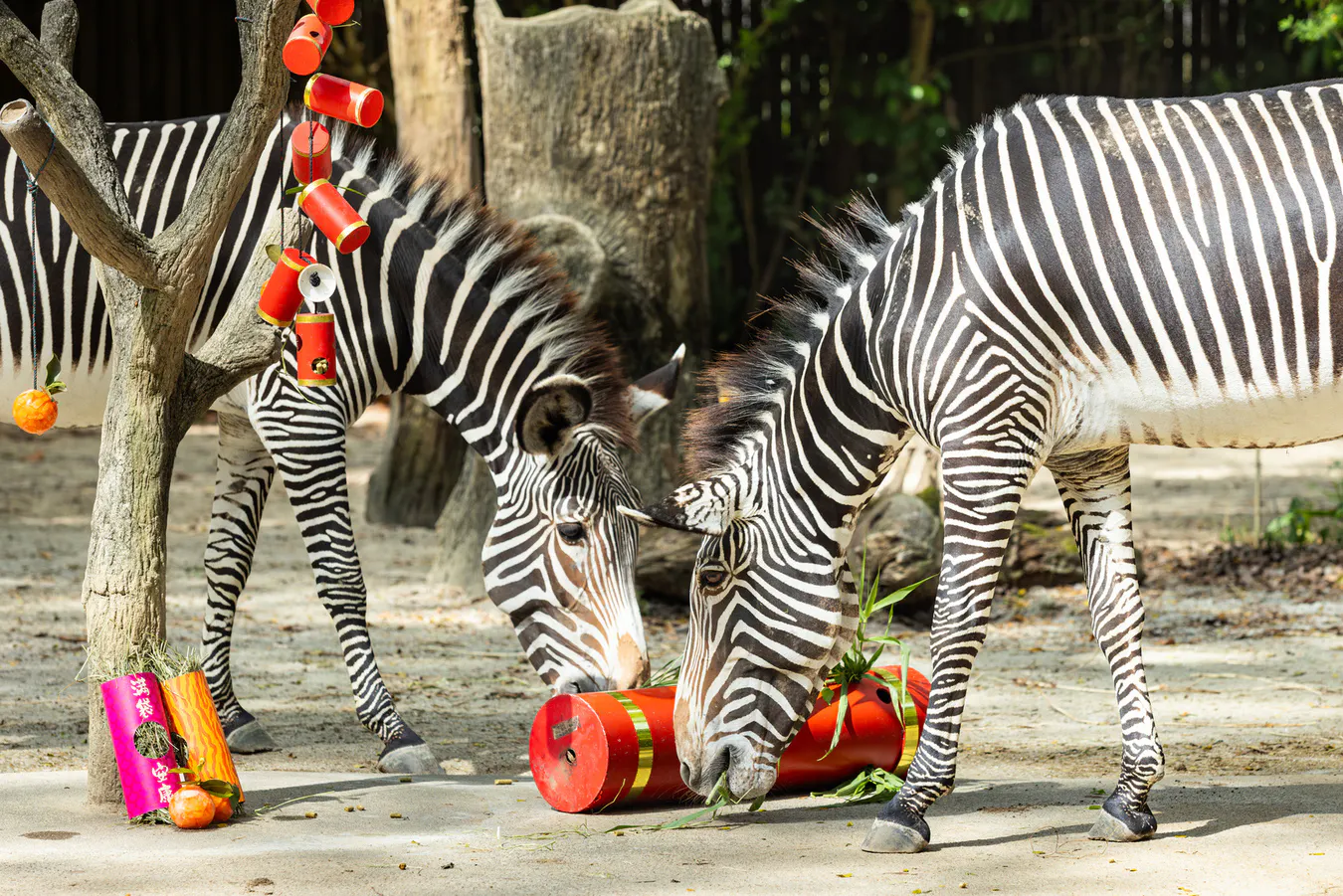 Your Ultimate Guide To Chinese New Year 2026 In Singapore | URBAN LIST ...