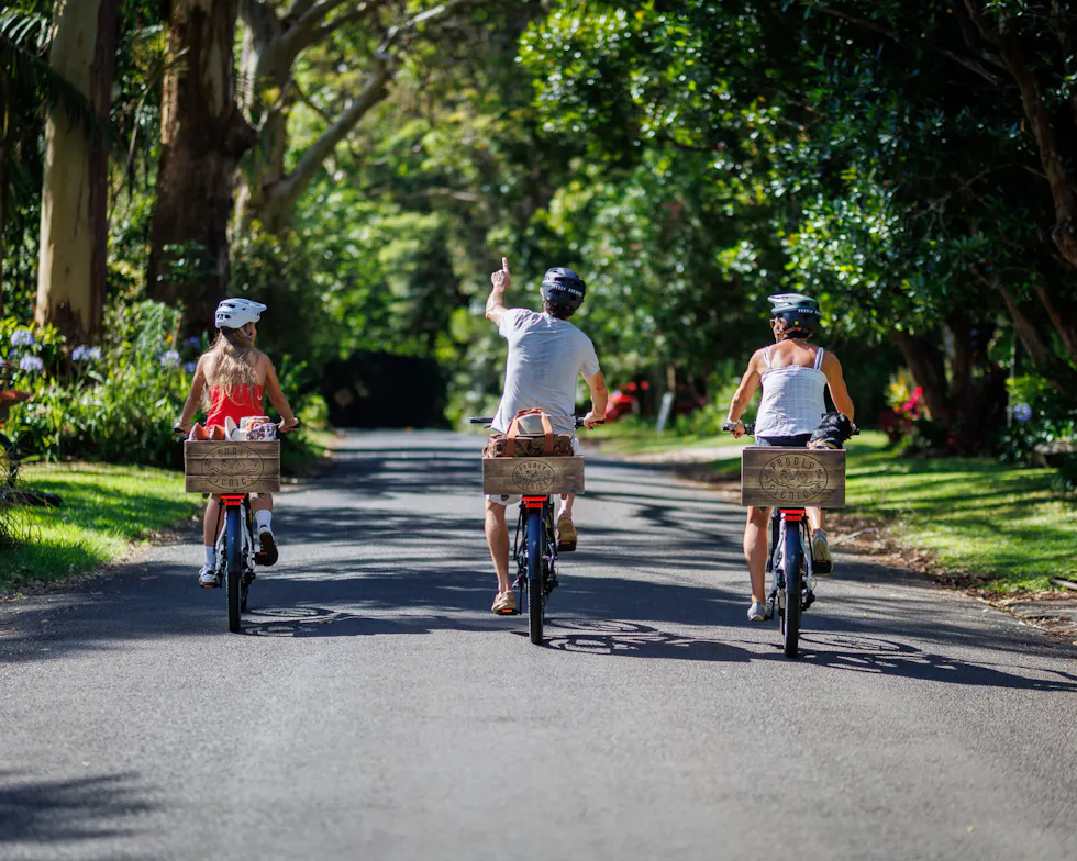 15 Of The Best Things To Do In Tamborine Mountain (Updated 2026 ...