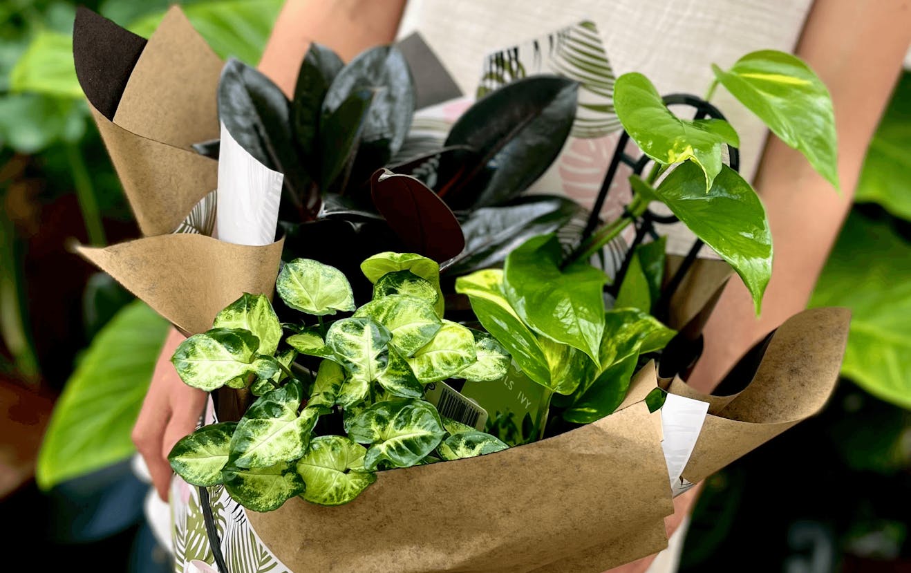 Best Flower Delivery Services In Melbourne 2025 | URBAN LIST MELBOURNE