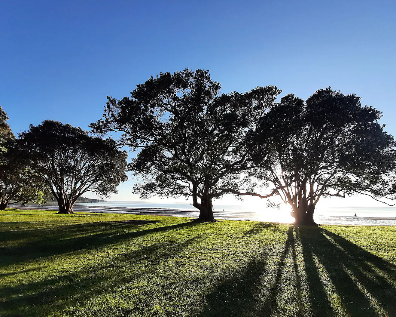The Best Parks In Auckland | URBAN LIST AUCKLAND