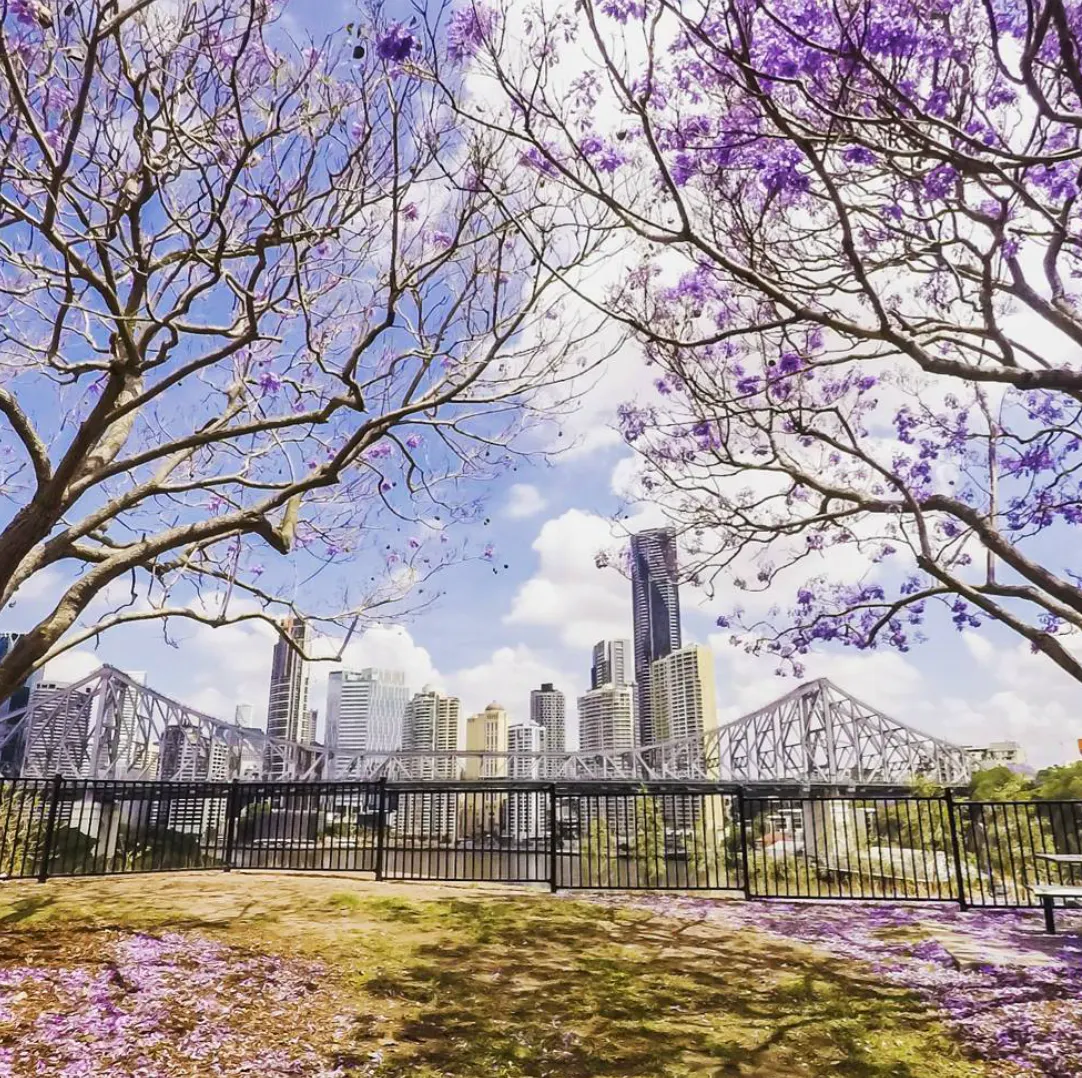 8 Of The Best Lookouts In Brisbane | URBAN LIST BRISBANE