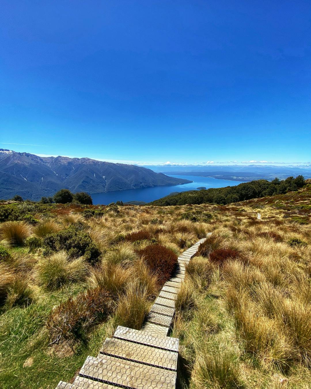 Hiking The Kepler Track: A Guide To New Zealand’s Iconic Tramp | URBAN ...